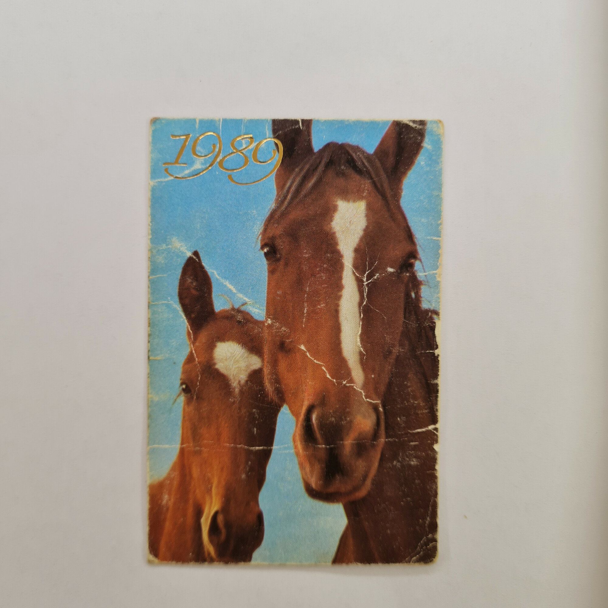 Карманный календарик СССР 1989. Лошади, жеребенок на фоне неба. Советский календарь винтажный