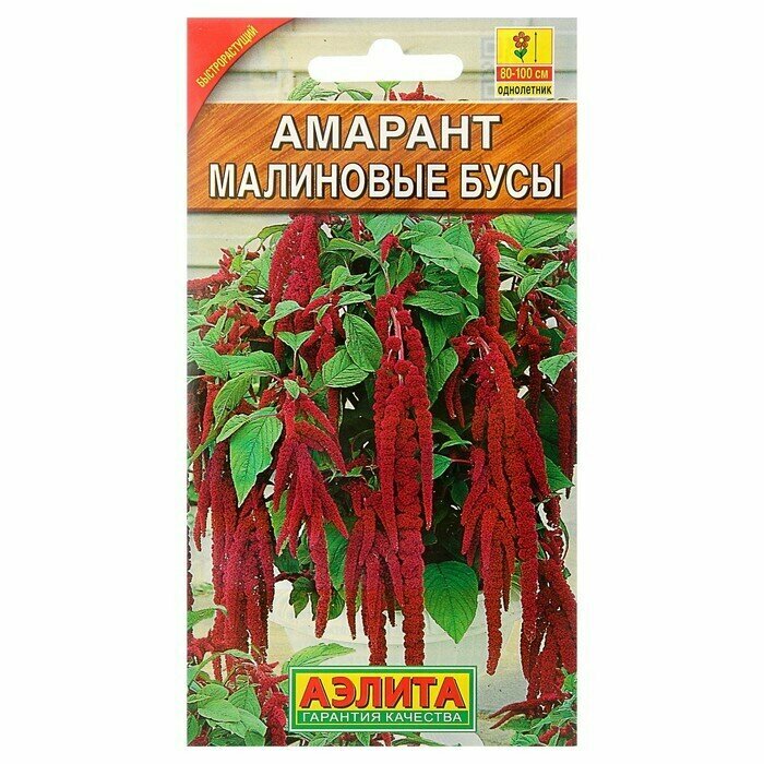 Семена цветов Амарант 'Малиновые бусы', О, 0,2 г