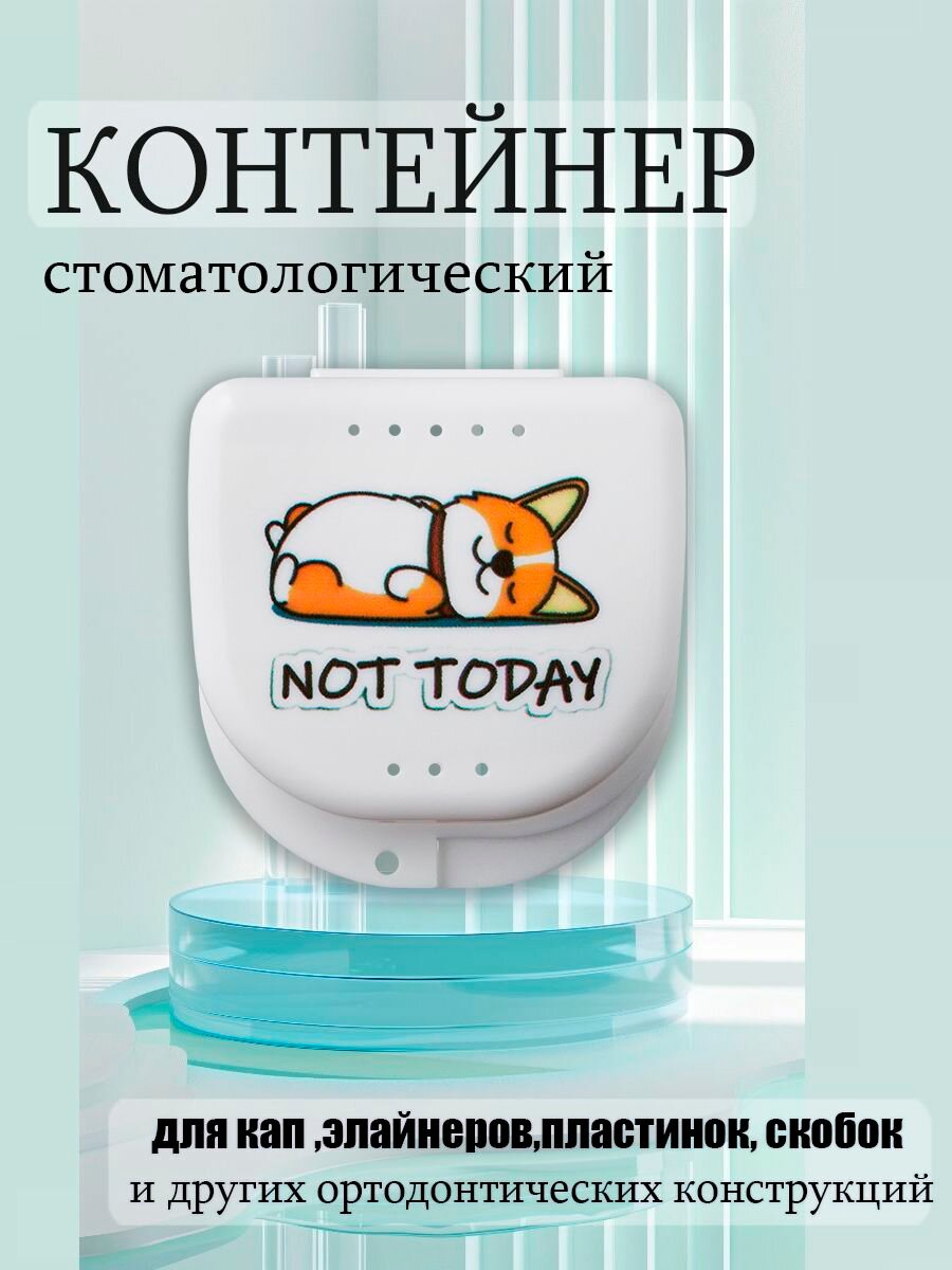 Футляр стоматологический, контейнер для ортодонтических зубных пластинок, капп, элайнеров, протезов и мостов, Корги