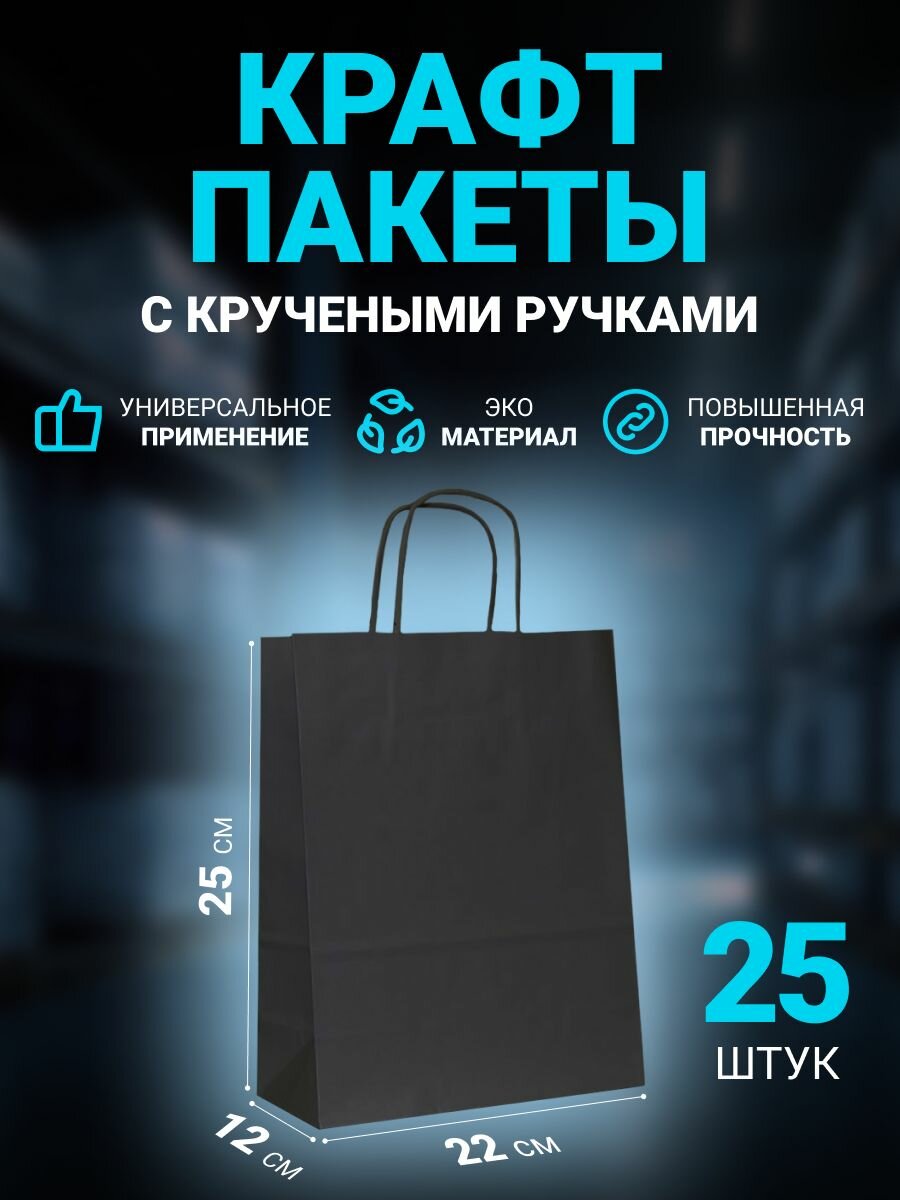Крафт пакет черный бумажный с кручеными ручками 22х12х25 см, 25 шт.