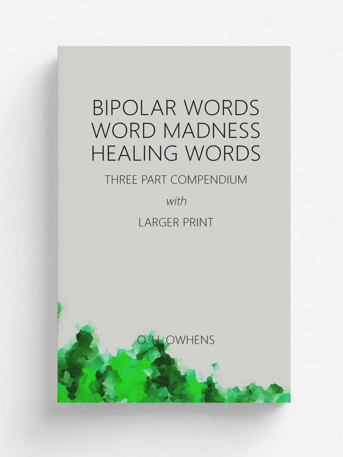 Bipolar Words Word Madness Healing Words. Three Part Compendium with Larger Print
