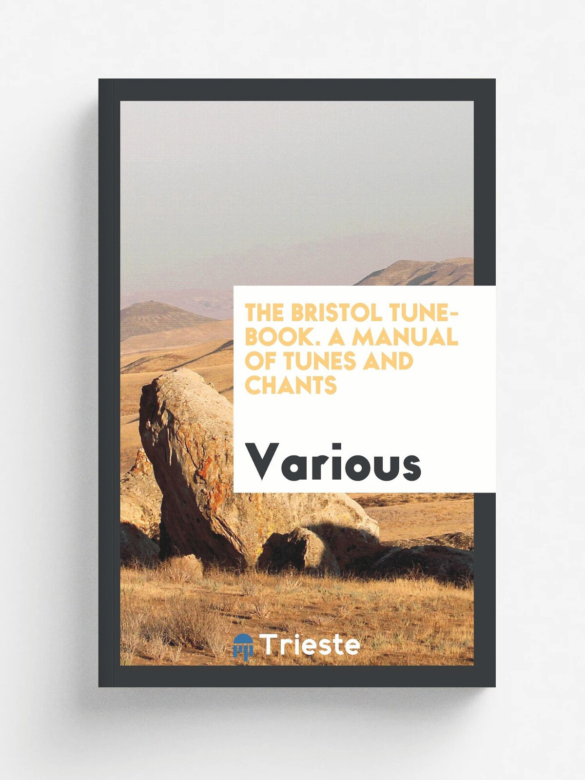The Bristol Tune-book. A manual of tunes and chants
