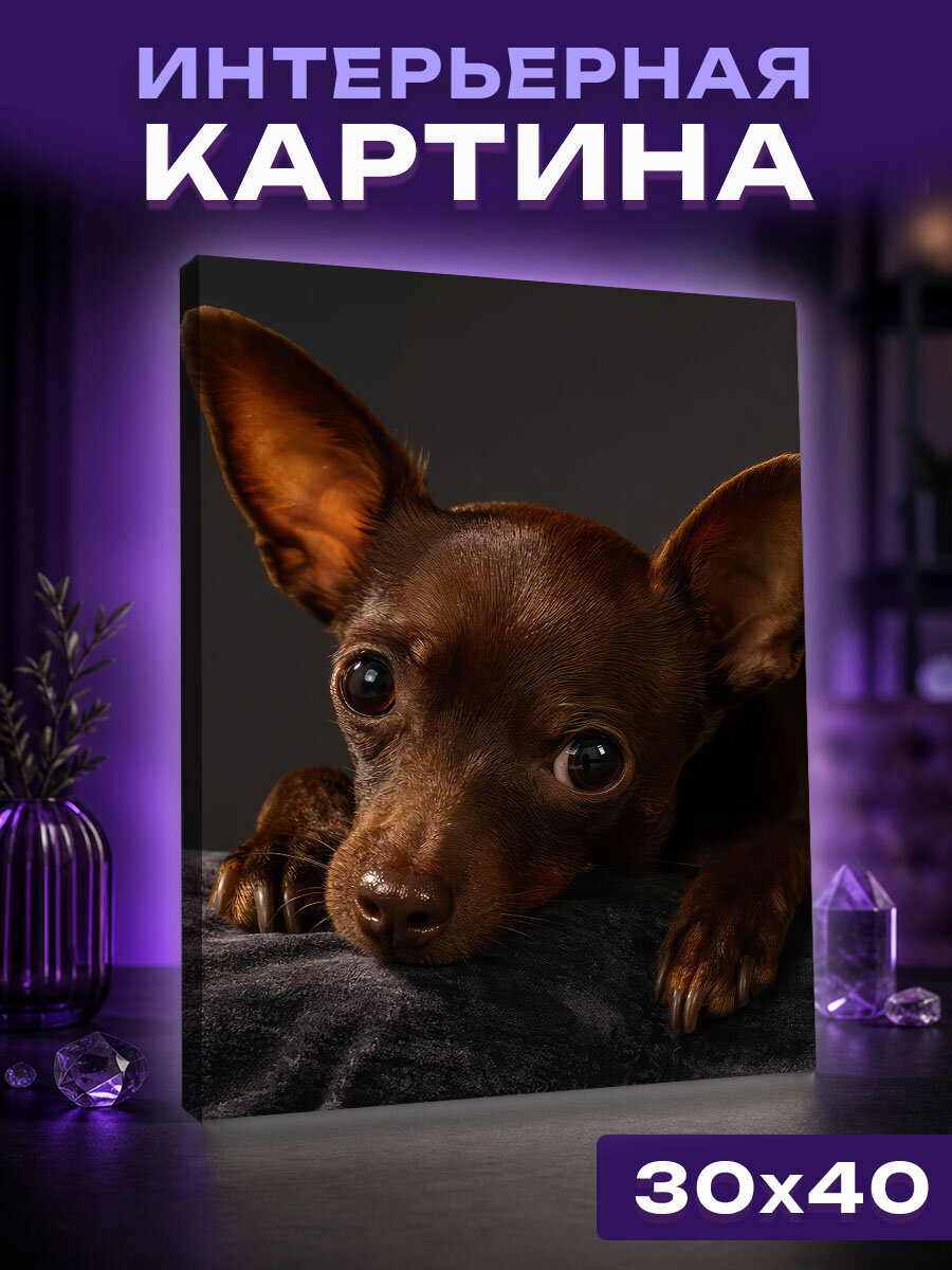 Интерьерная картина портрет той-терьера с глубоким взглядом