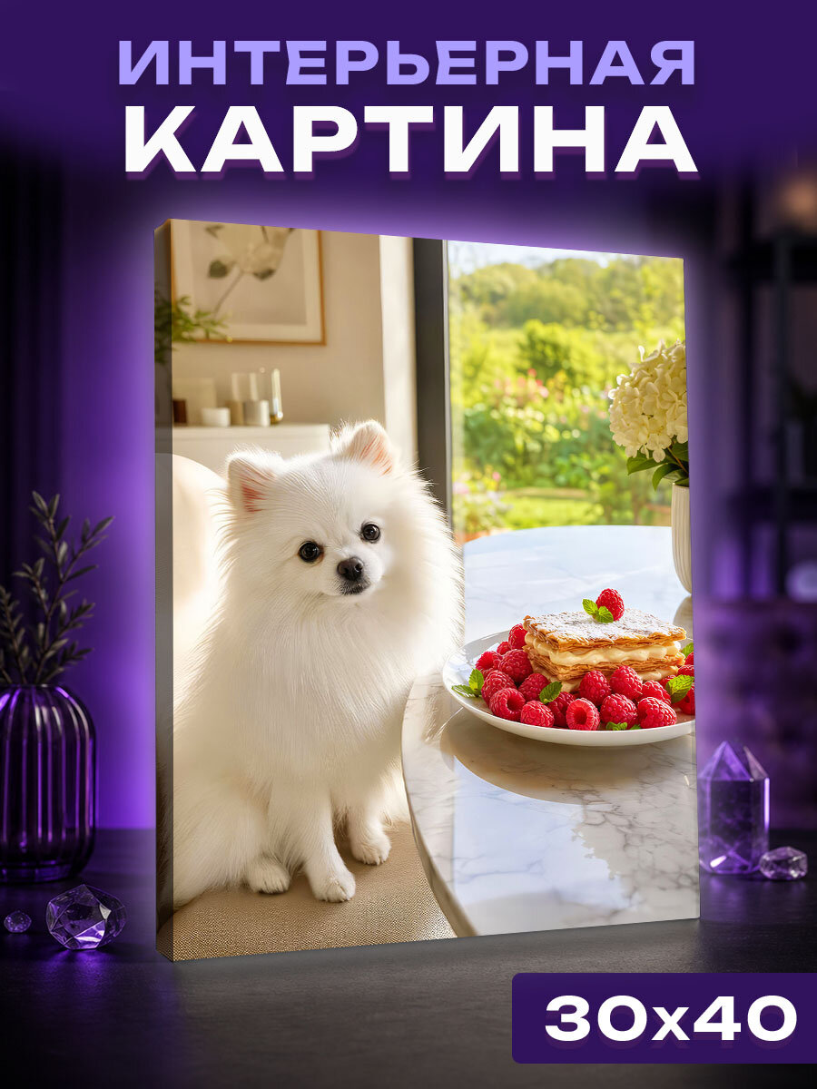 Интерьерная картина шпиц на кухне у тарелки с пирожным
