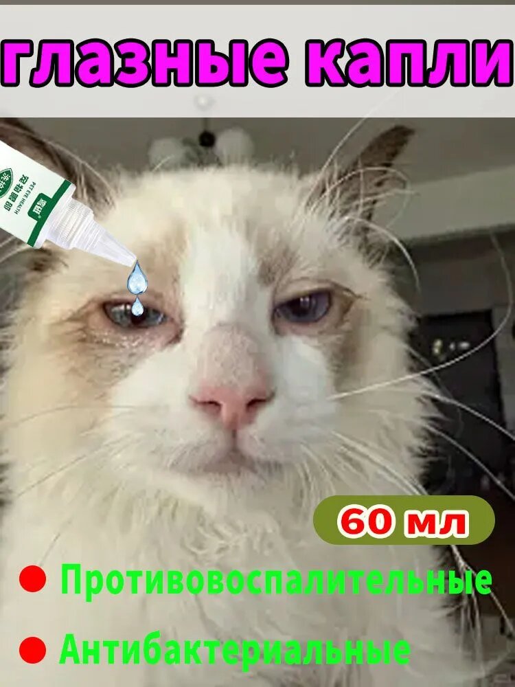 Глазные капли для собак и кошек, 60 мл
