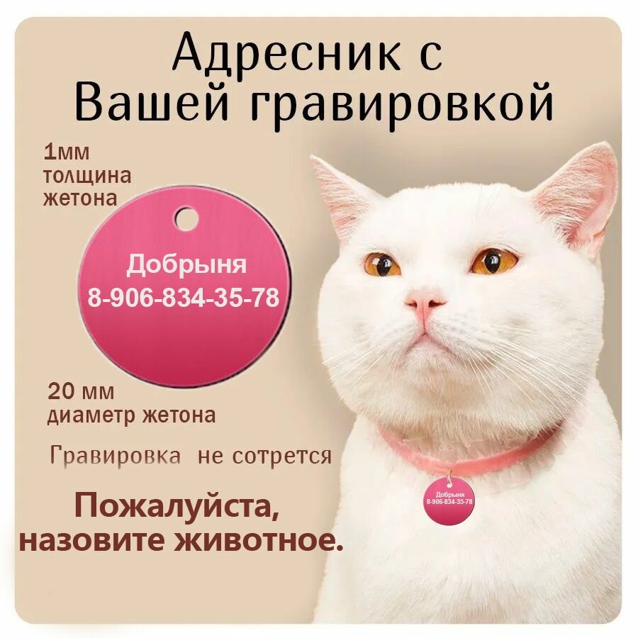 Адресник для собак и кошек с гравировкой (металл), малиновый, бирка для животных, с адресом контактная бирка жетон на ошейник
