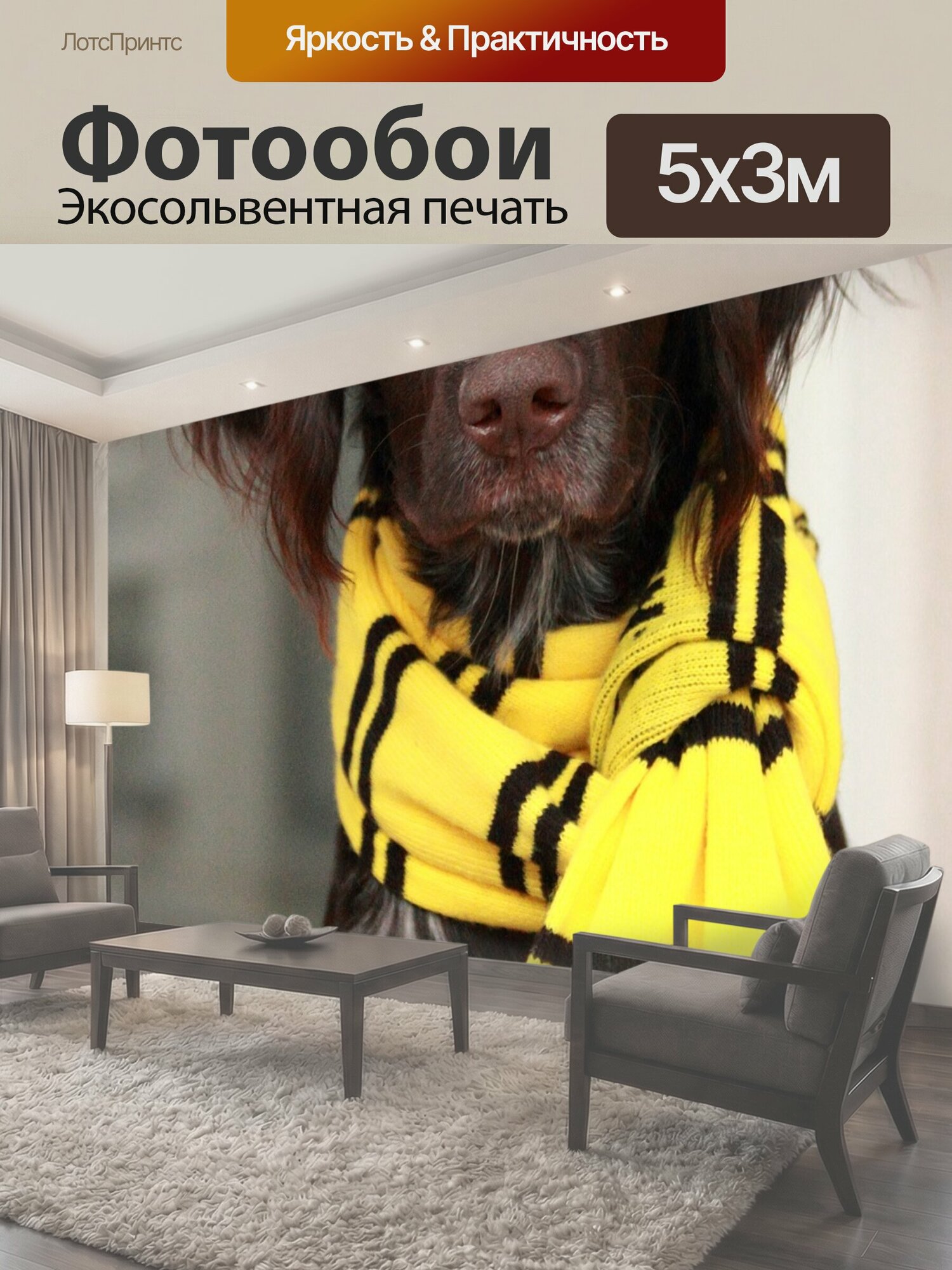 Фотообои "Маленький münsterländer, bvb, боруссия дортмунд" 500x300 см. экосольвентная печать