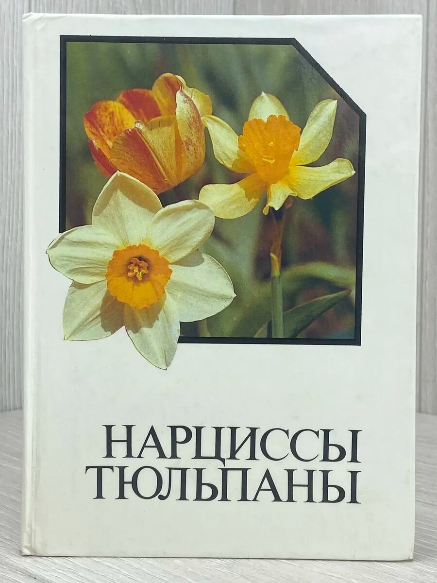 Нарциссы. Тюльпаны