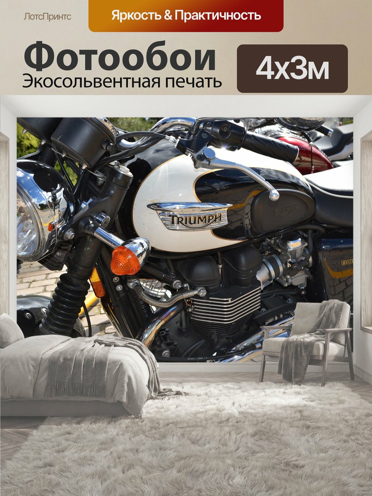 Фотообои "Триумф, винтаж, мотоцикл" 400x300 см. экосольвентная печать