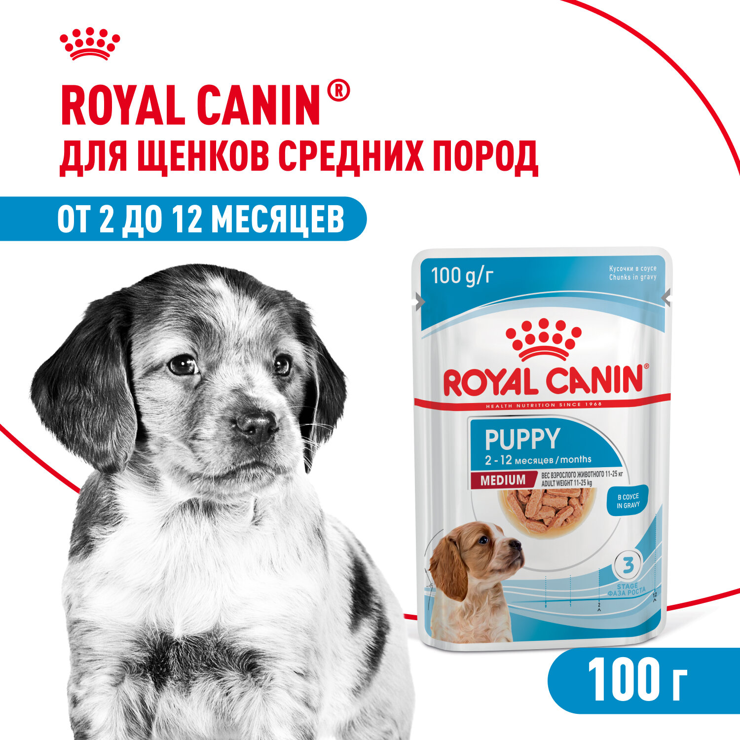 Влажный корм ROYAL CANIN MEDIUM PUPPY для щенков средних пород до 12 месяцев , соус, 100 г х 24 шт.