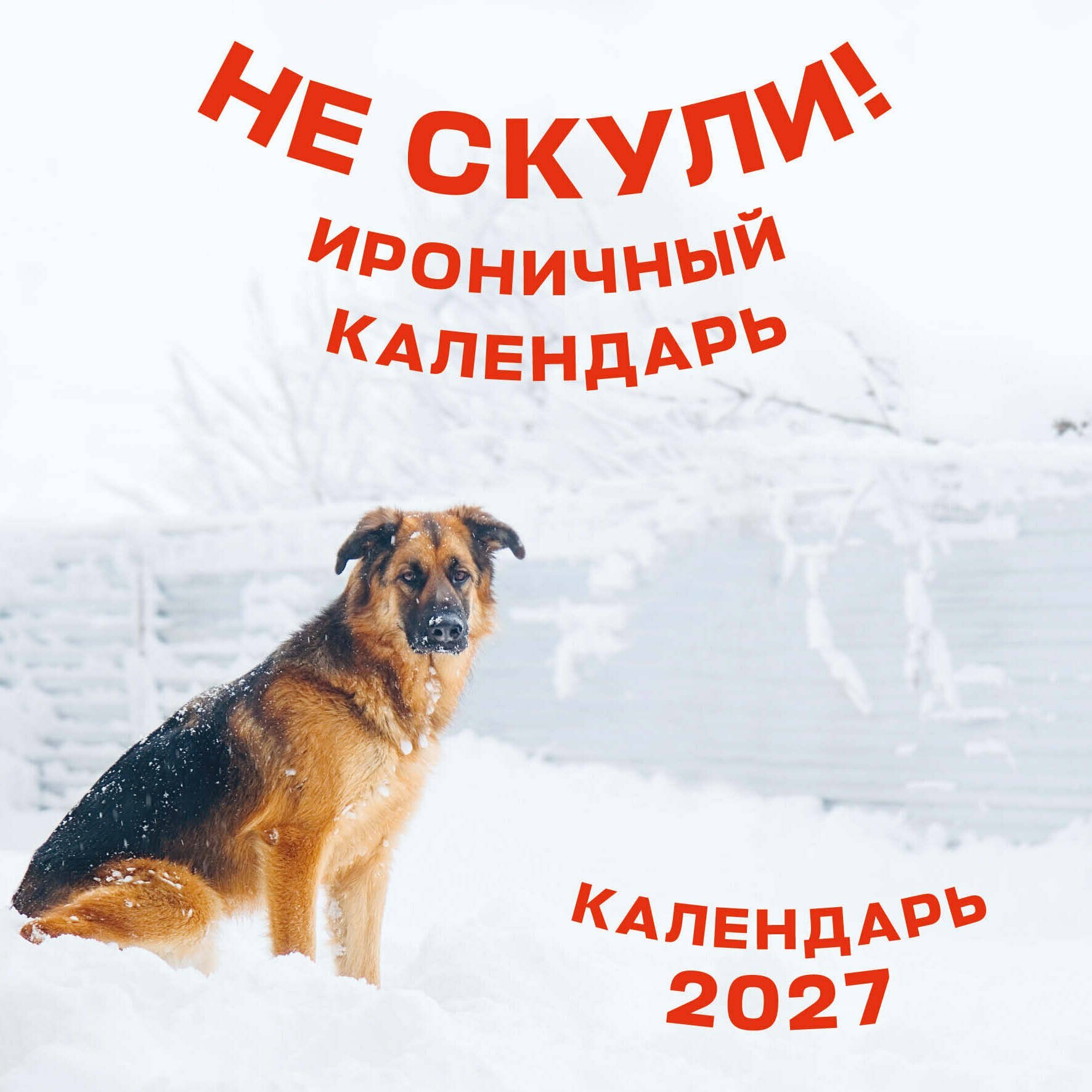 Календарь 2027г 300*300 "Не скули. Ироничный календарь" настенный, на скрепке
