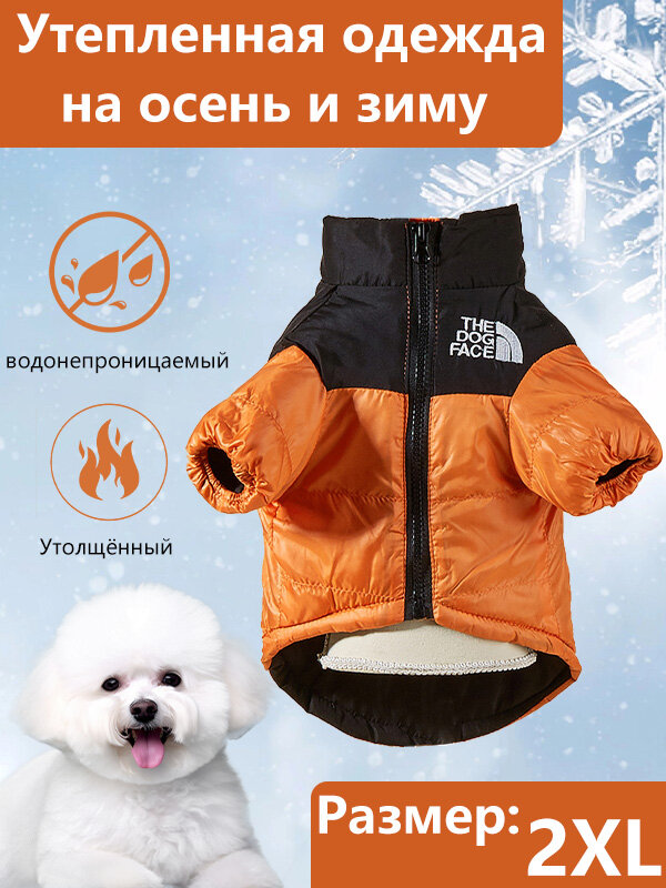 Одежда для собак мелких пород, Зимняя хлопчатобумажная одежда для собак, Плюс бархатное утолщение