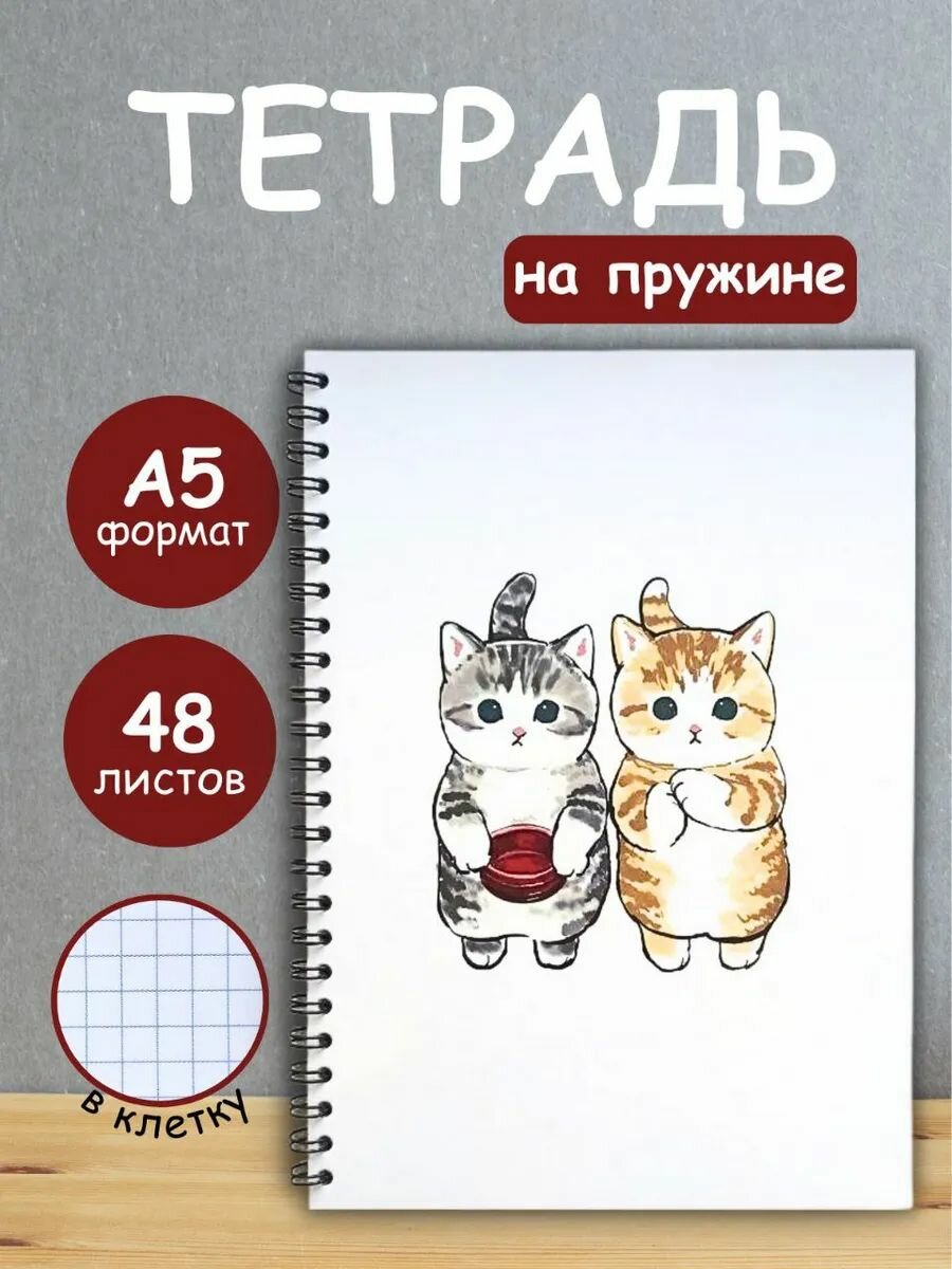 Тетрадь в клетку 48 листов на пружине , блокнот А5 Милые котики