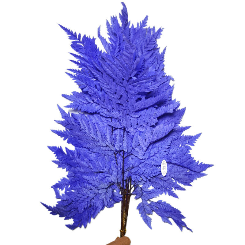 Вечные листья папоротника, сухие цветы, настоящие цветы, свадебная композиция, цветочная композиция, декор, листья Юньнаня, реквизит для фото, венозные сухие цветы, прессованные цветы