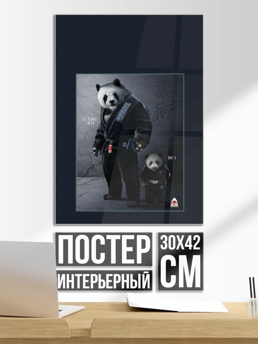 Постер на стену Panda Дзюдо