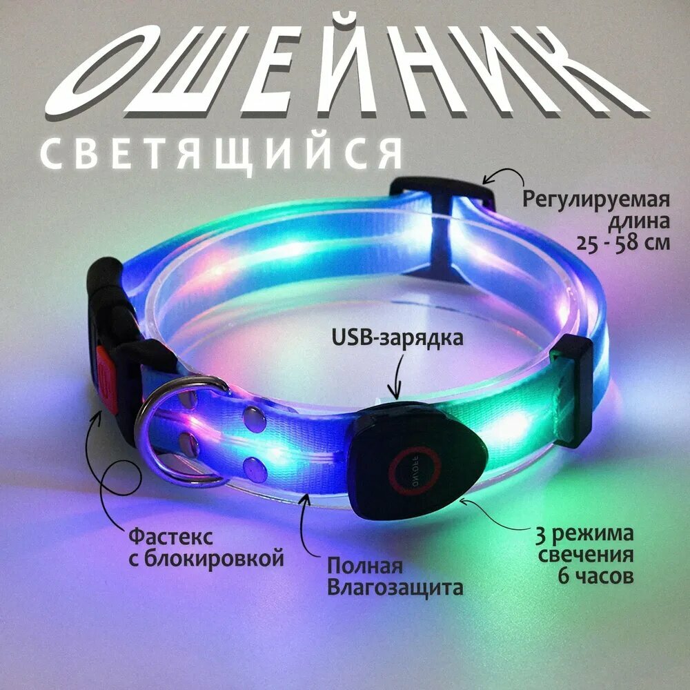 Ошейник