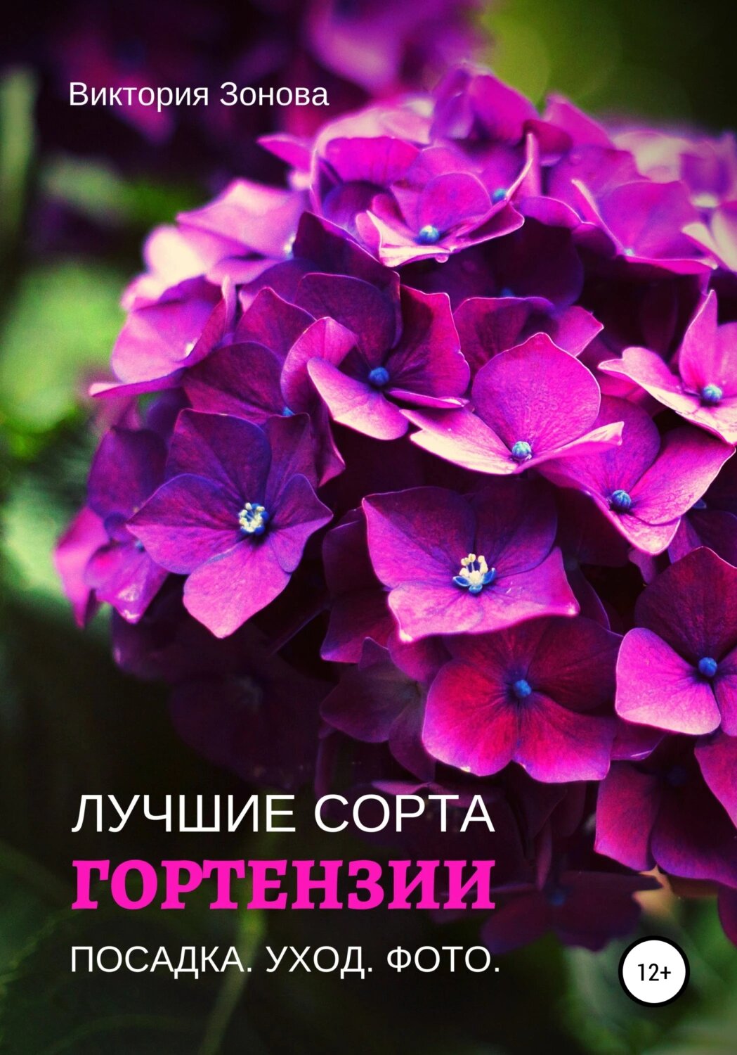 Гортензии. Лучшие сорта [Цифровая книга]