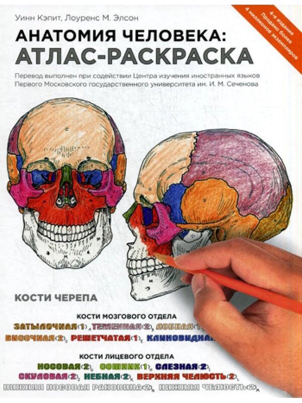 Анатомия человека: атлас-раскраска (Лоренс М. Э, Кэпит У.)