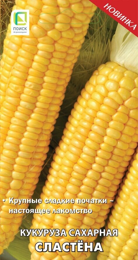 Семена овощей Поиск кукуруза сахарная Сластена, для дачи, сада, огорода и на рассаду