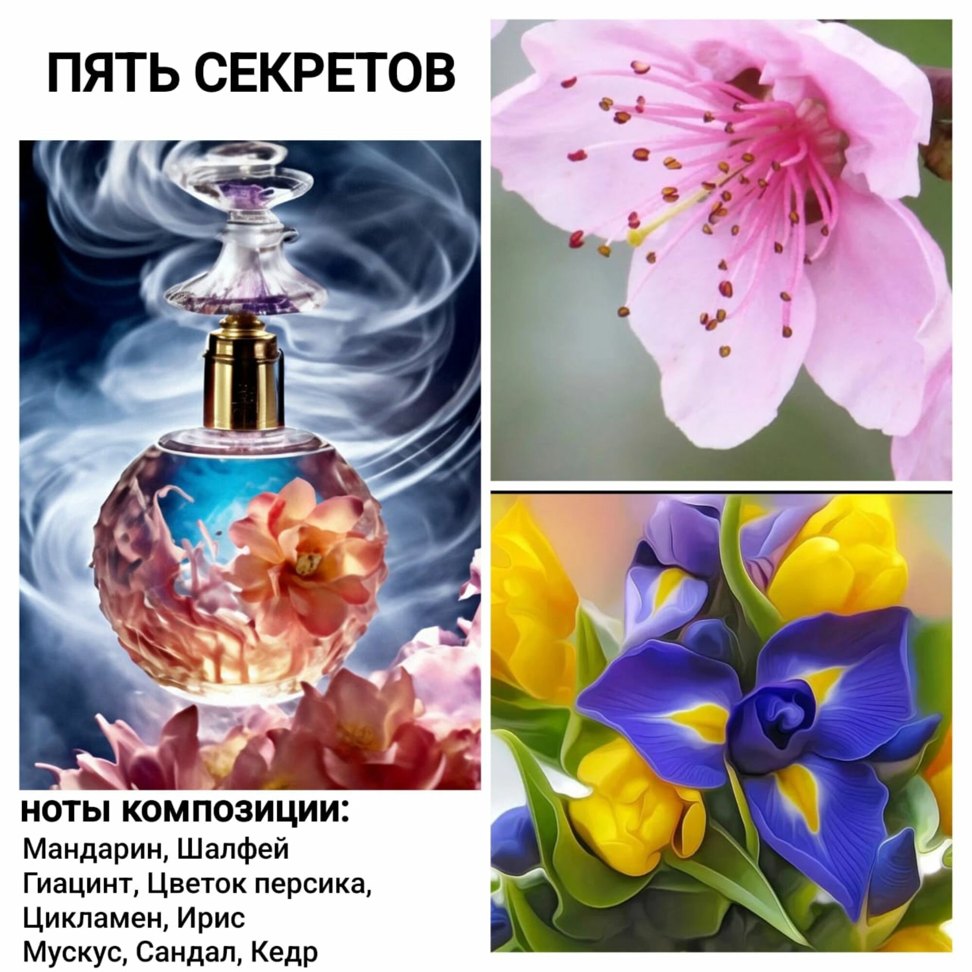 "Пять секретов Е" масло-духи с феромонами Египет 3 мл