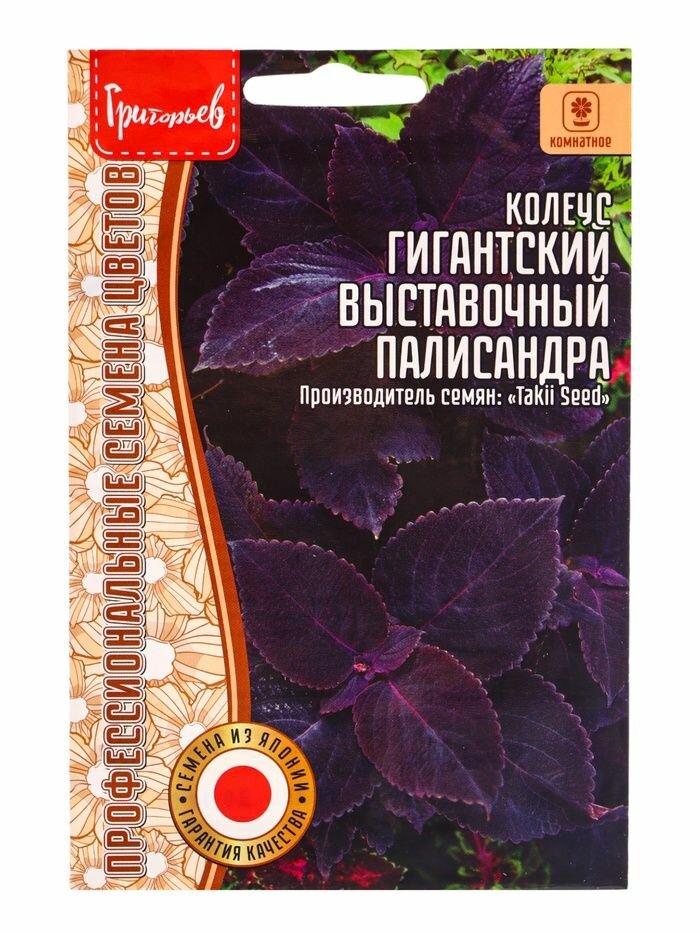 Семена цветов Колеус Гигантский Выставочный Палисандра (Giant Exhibition Palisandra) 3 шт. 12.29 г