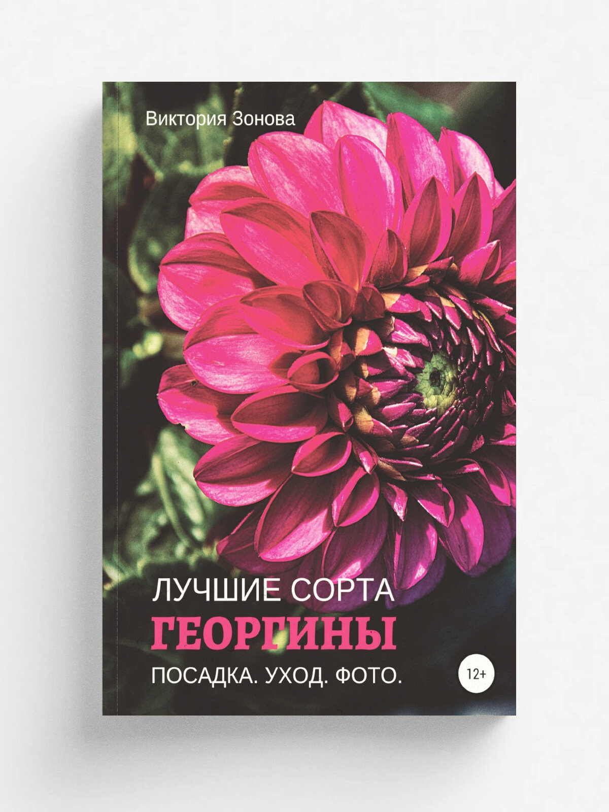 Георгины. Лучшие сорта