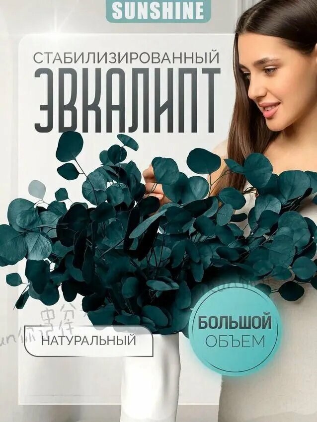 Стабилизированные цветы Эвкалипт, 60 см, 120 гр