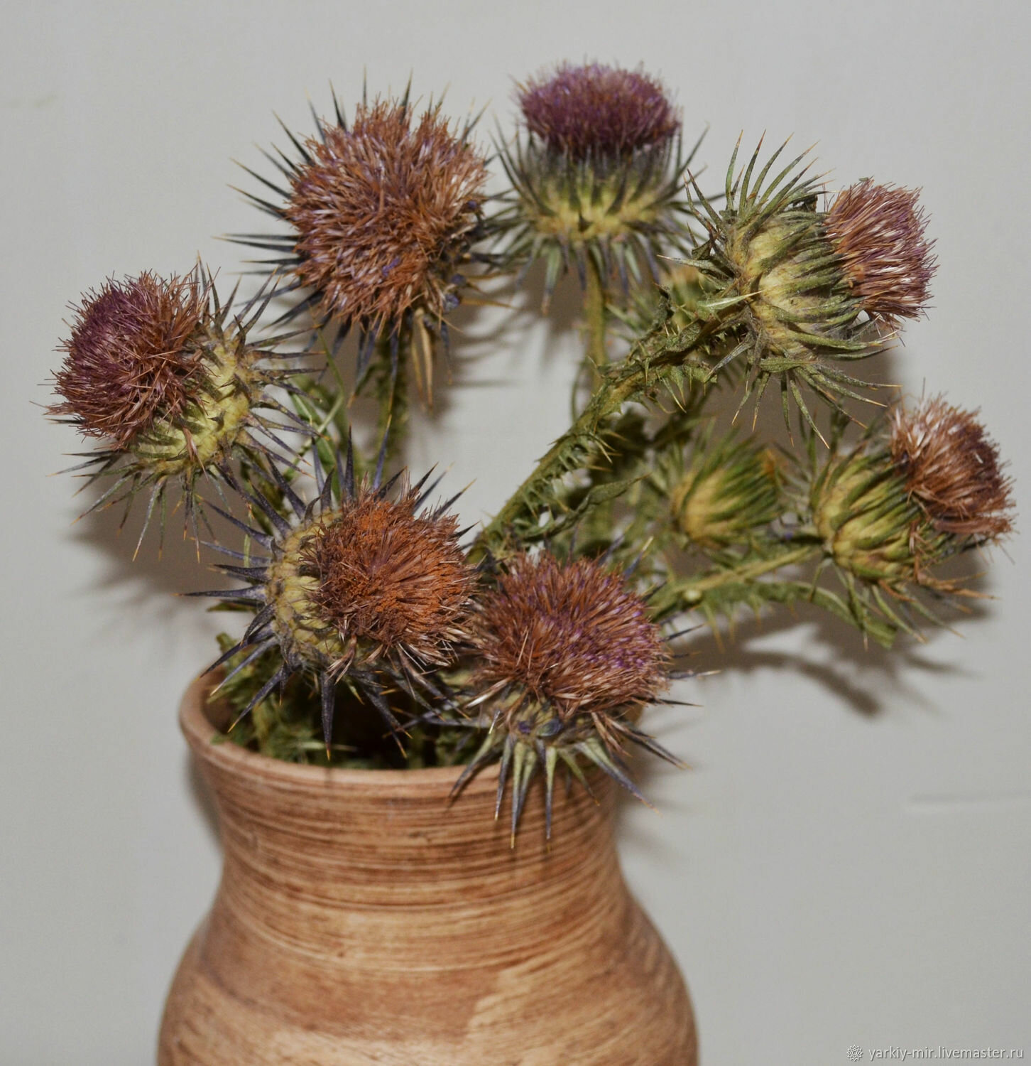 Чертополох пучок 20г