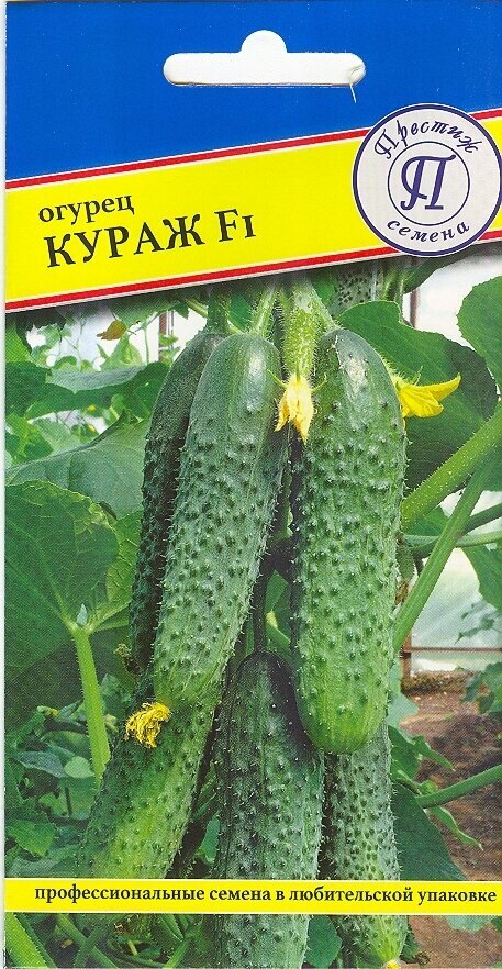 Семена огурца Престиж Кураж F1, однолетние, скороспелые, 5 шт