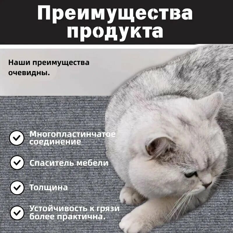 Когтеточка — фото 1