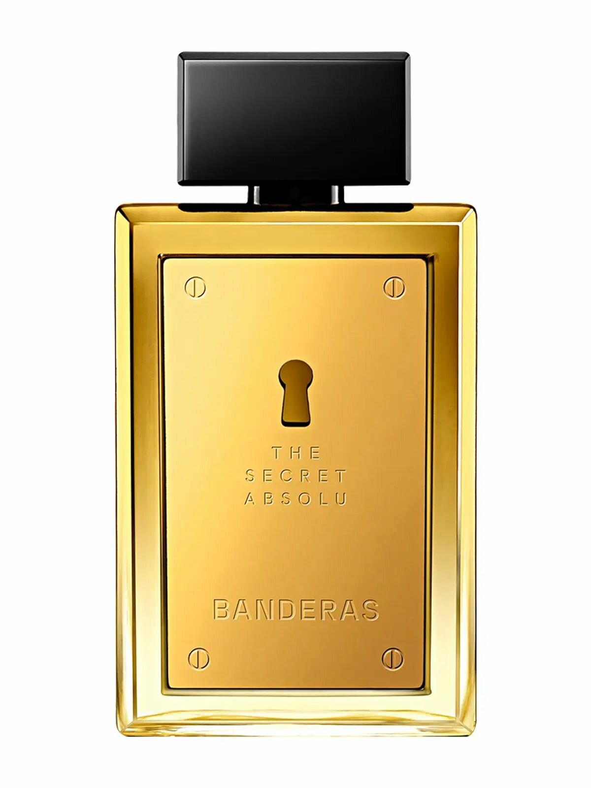 Парфюмерная вода Antonio Banderas "The Secret Absolu", мужская, 100мл