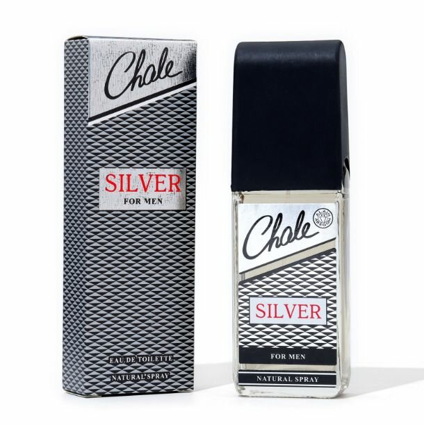 Туалетная вода Positive Parfum Chale SILVER 100ml для мужчин