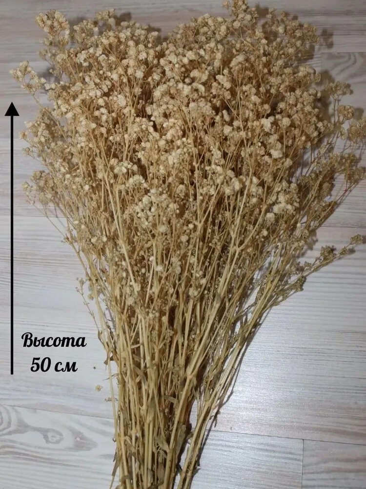 Сухоцветы Гипсофила, натуральный белый цвет, 50 см, 50 гр, подарок на любой праздник — фото 1