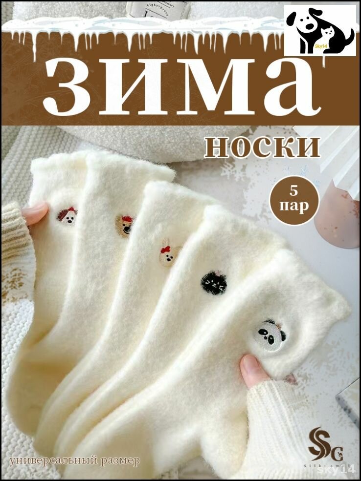 Эксклюзивный набор 5 пар носков