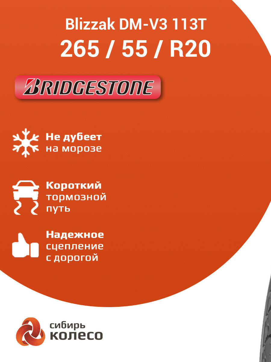 265/55R20 Bridgestone Blizzak DM-V3 113T