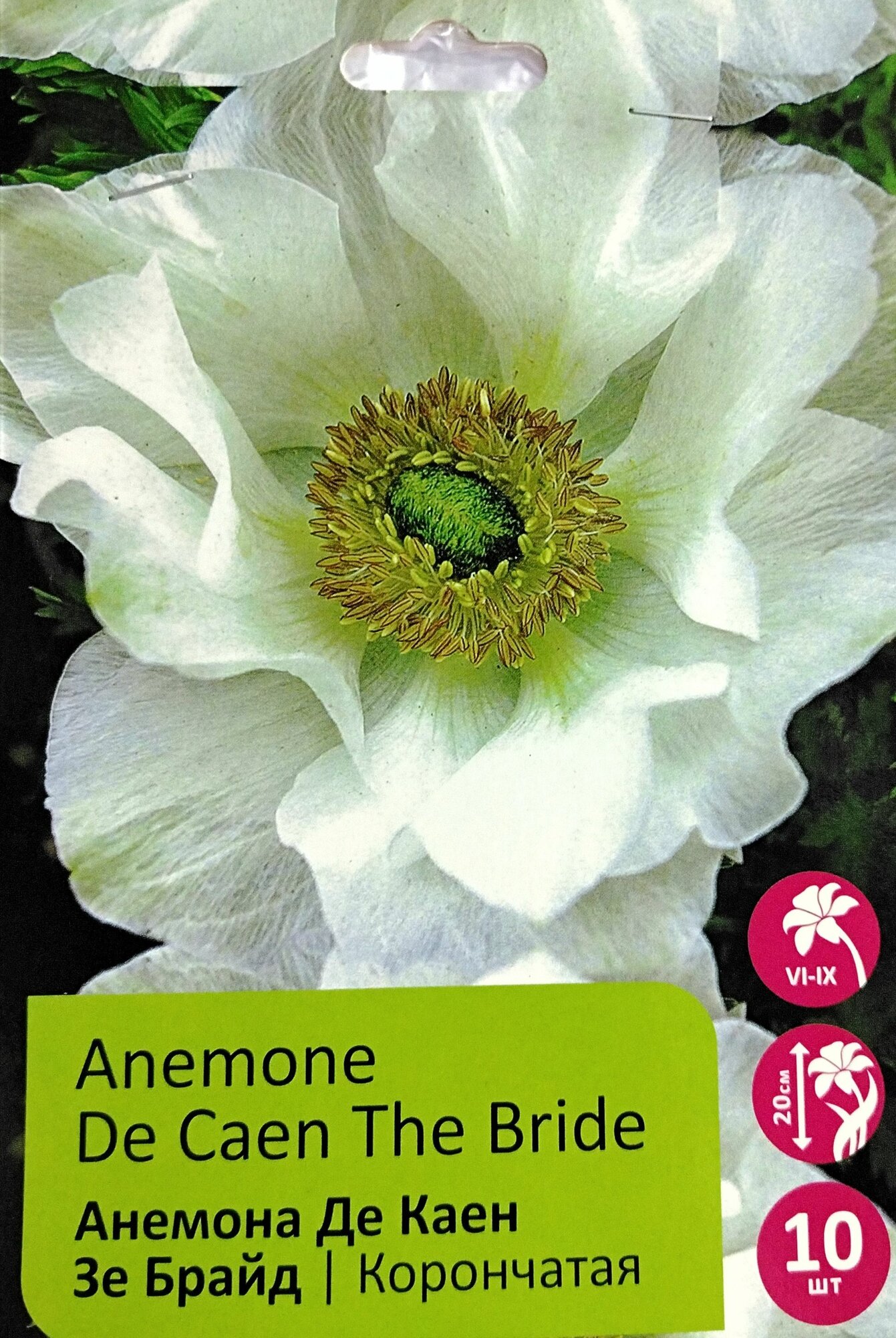 Семена "Анемона Де Каен Зе Брайд" Корончатая