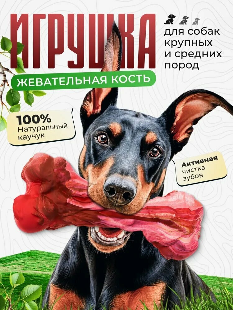 Прочная Жевательная Игрушка для собак кость для крупных и средних пород и щенков / грызак