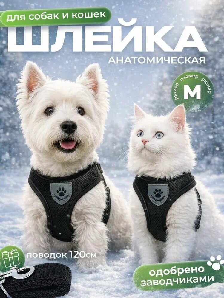Шлейка для собак мелких пород, для кошек, с поводком