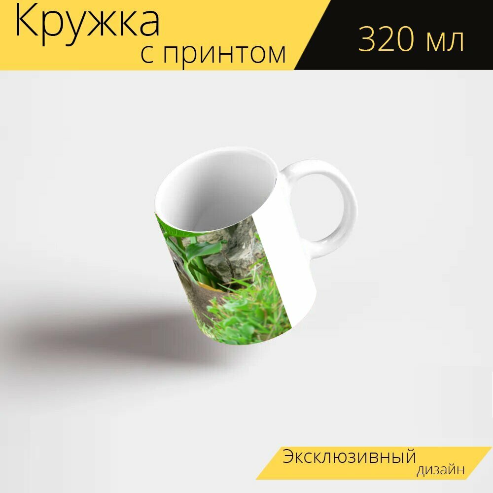 Кружка с рисунком, принтом "Скальный даман, южная африка, природа" 320 мл.