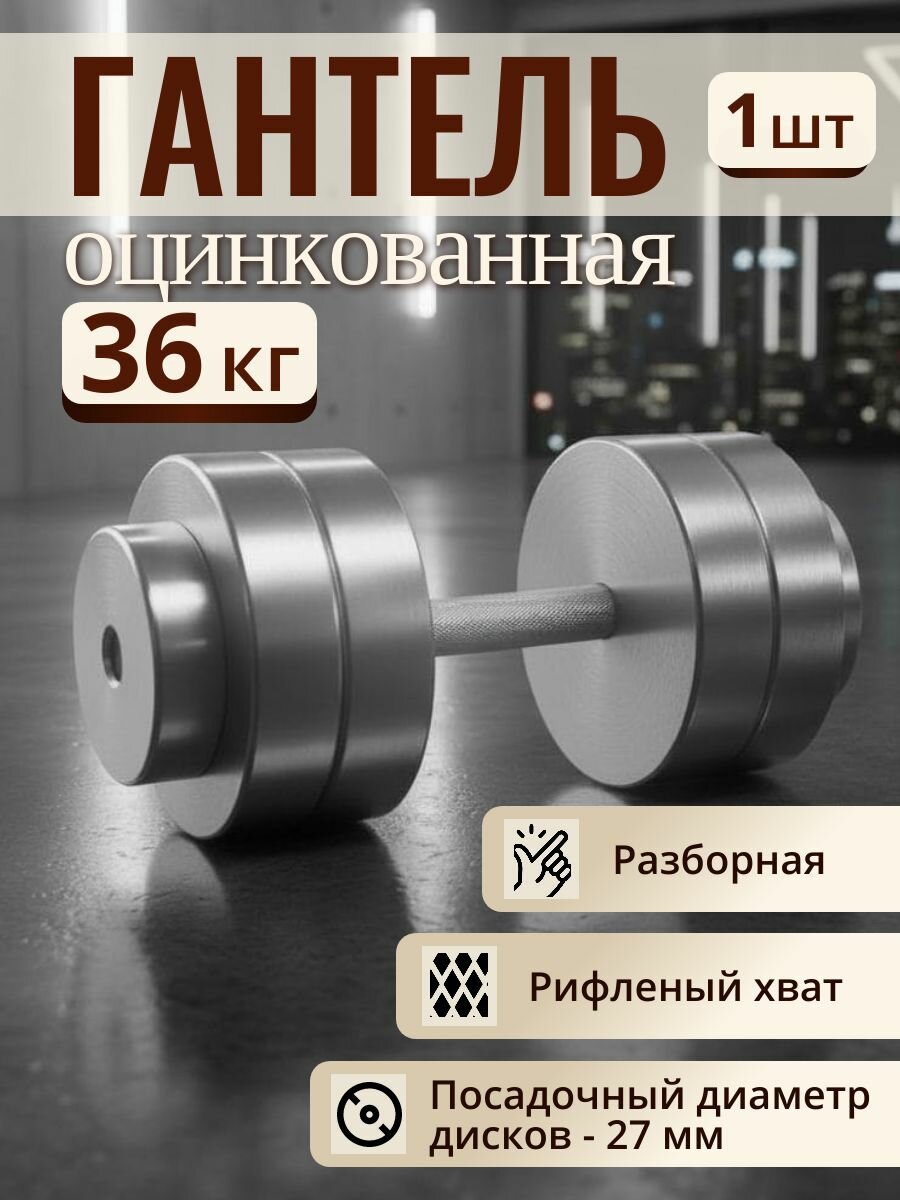Гантель разборная 36 кг оцинкованная