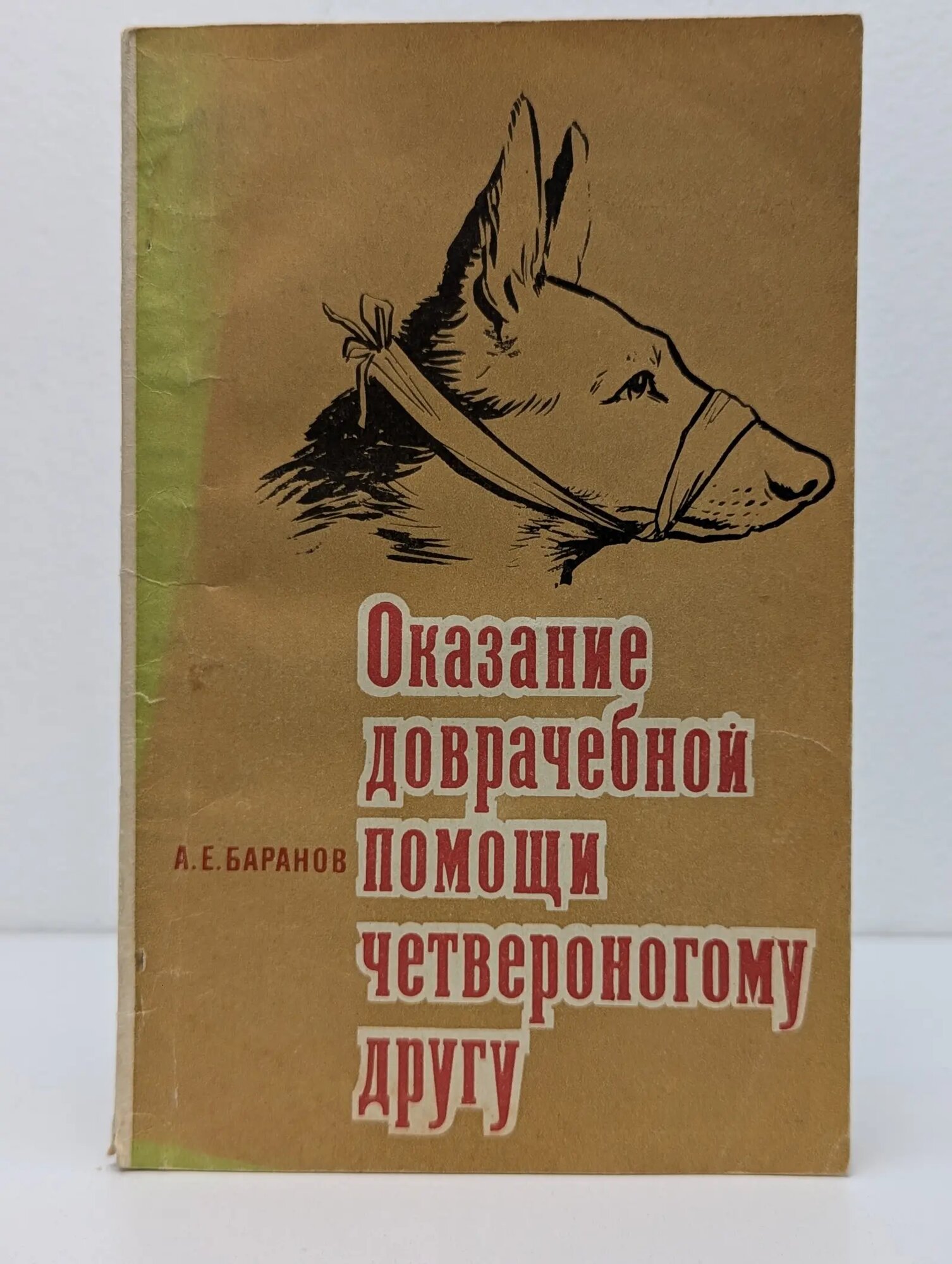 Оказание доврачебной помощи четвероногому другу Баранов Анатолий Евгеньевич 1976