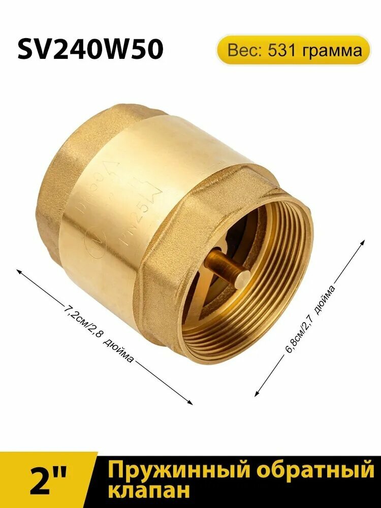 Обратный клапан для насосов 2"