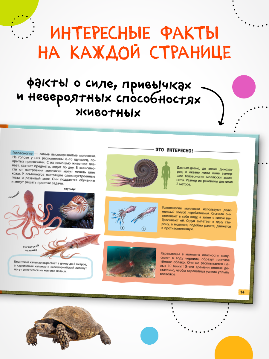 Интерактивная книга Животные мозаика kids для детей, Рентгенорама, Умная книжка сканер, рентген вставки — фото 1