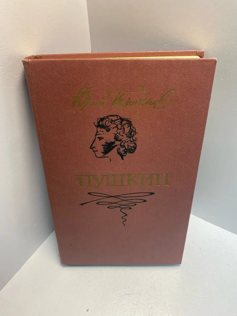 Книга Тынянов Ю. Н. Пушкин 1289