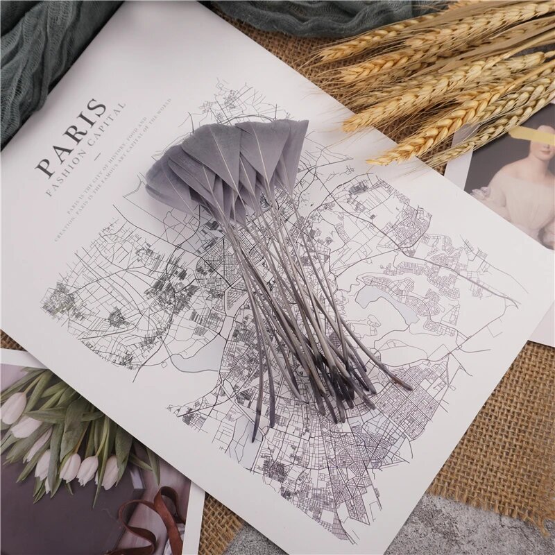 Окрашенные гусиные перья FlyReal 20Pcs, Серый, Gray