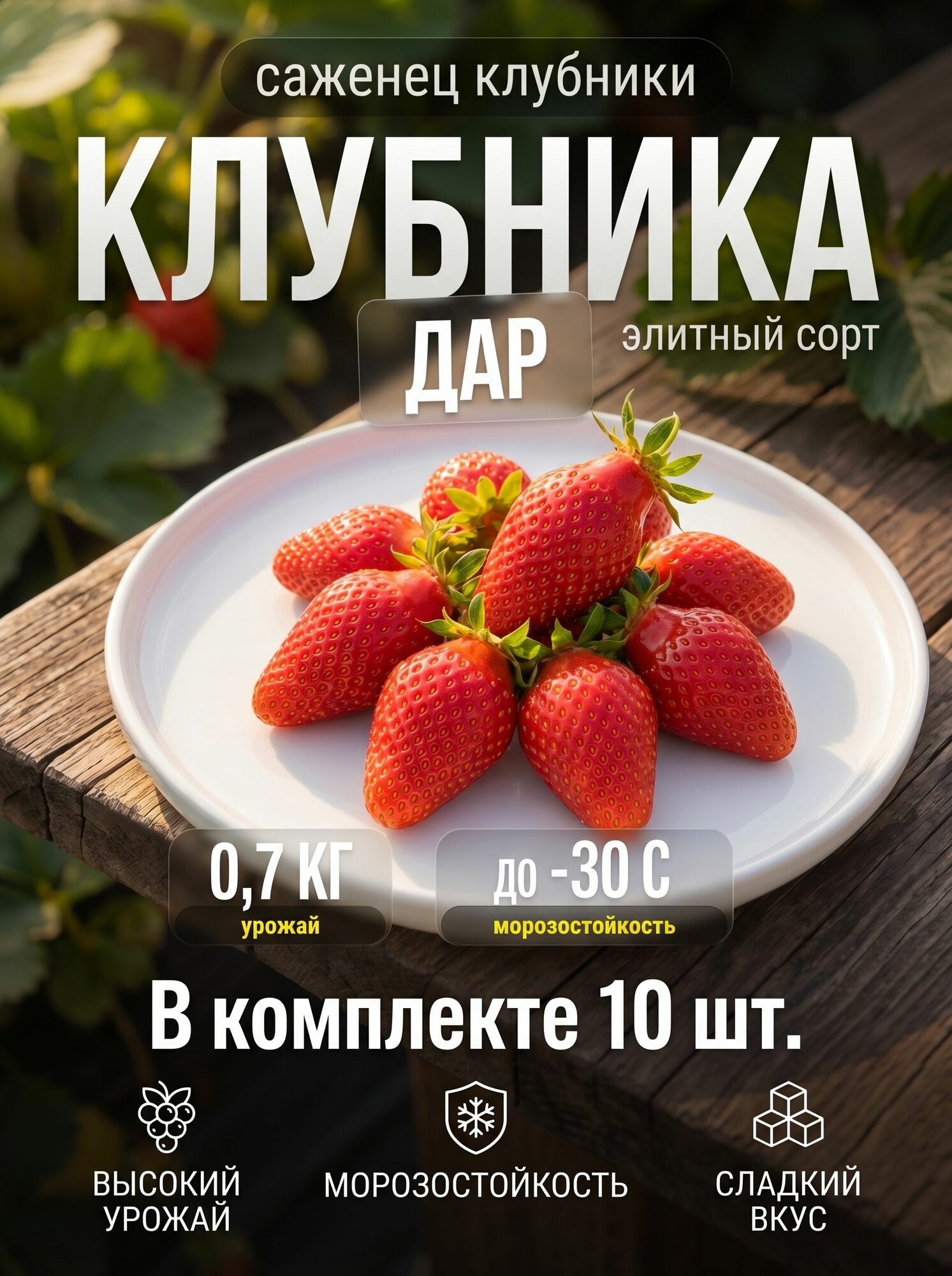Саженцы клубники дар 10-шт, доедет хоть куда