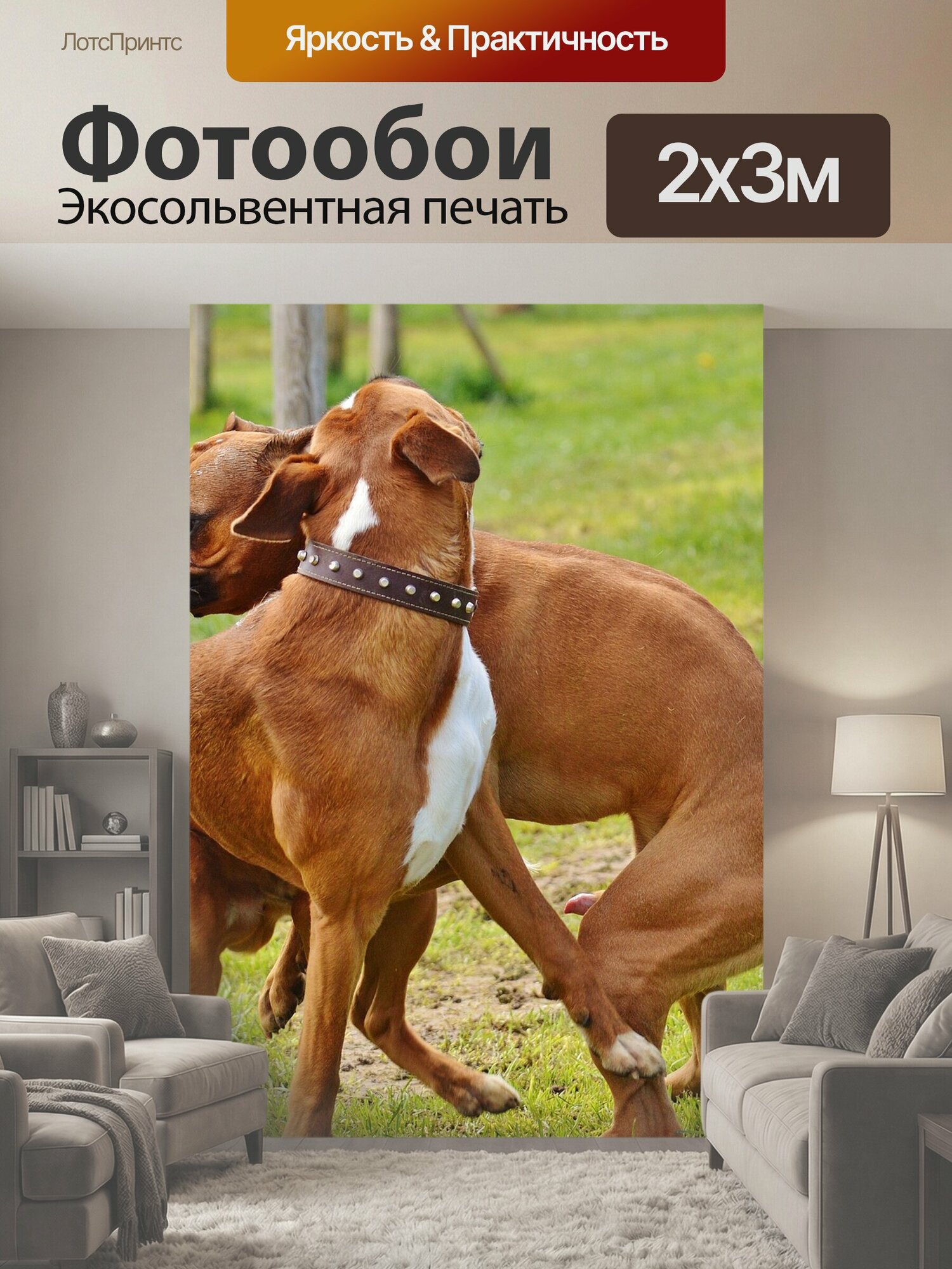 Фотообои "Боксеры, собаки, хороший aiderbichl" 200x300 см. экосольвентная печать