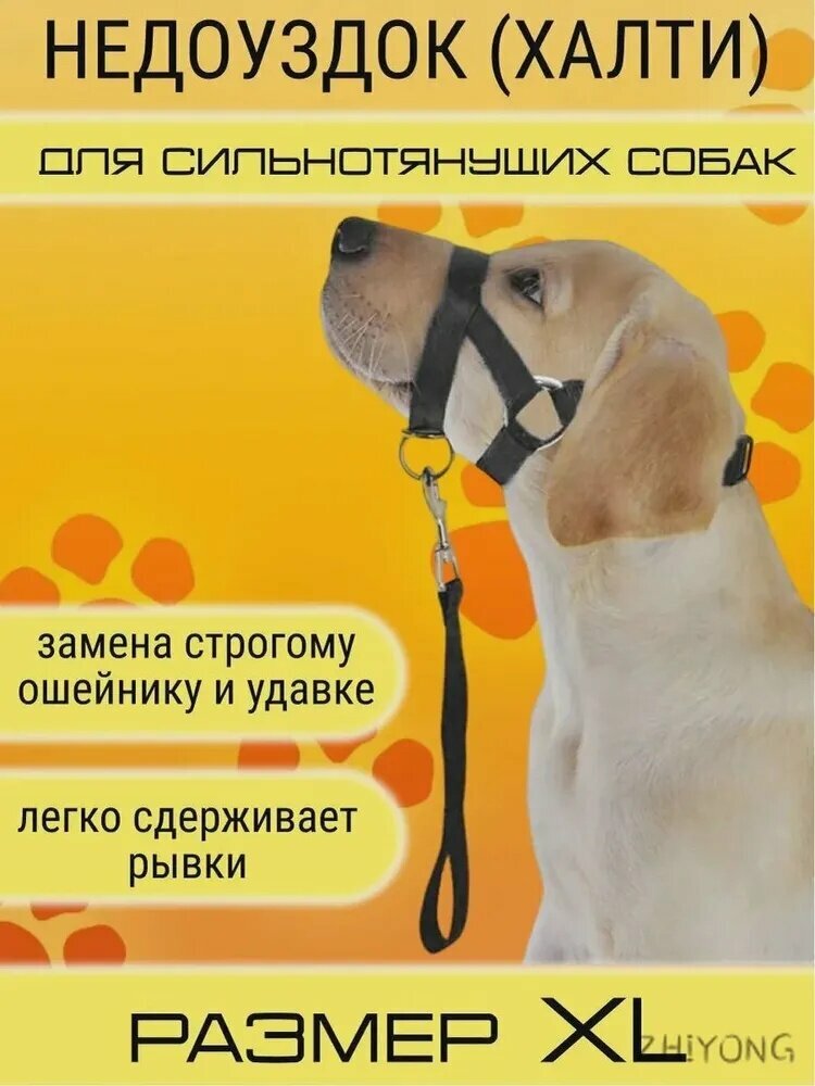 Намордник
