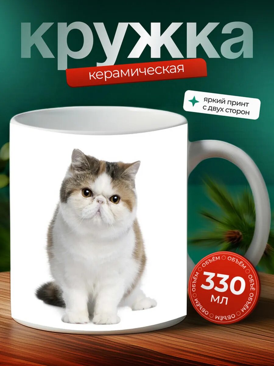 Кружка Экзотическая короткошерстная кошка 53,