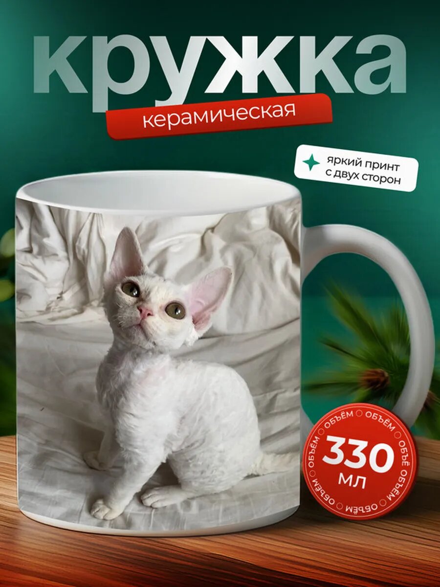 Кружка Девон-рекс кот 4,
